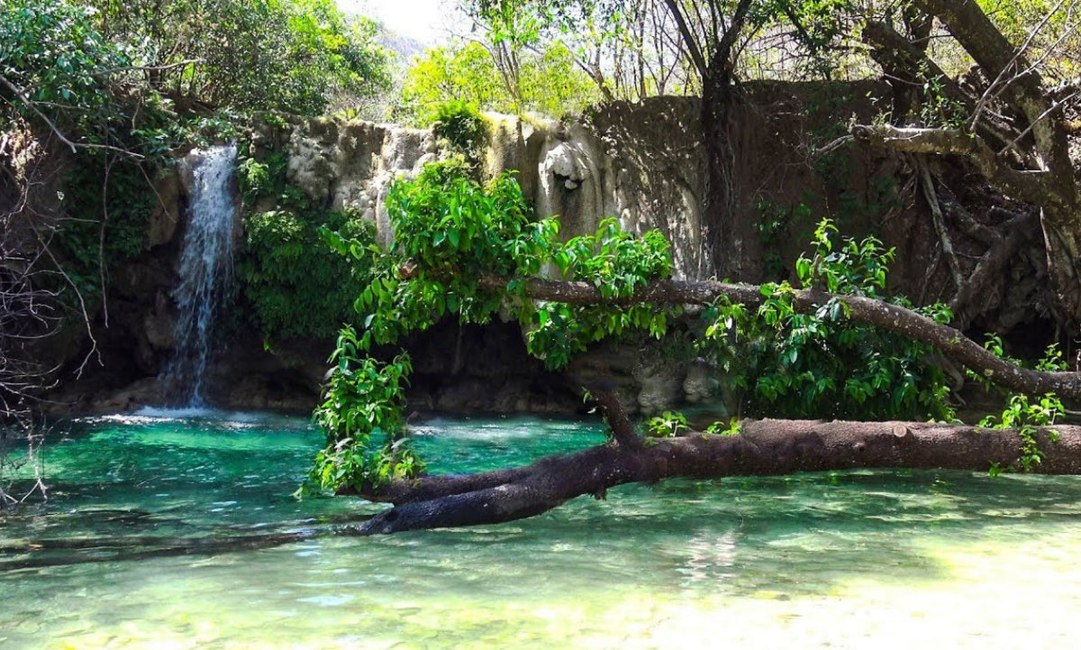 Viaje a Mil Cascadas y Taxco entre semana | Vagando por México ...